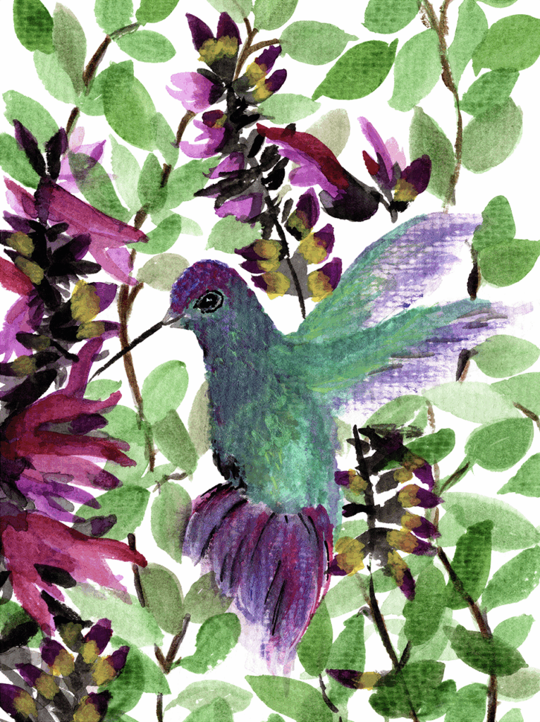 Licensed Artists - Patty Quon-Sandberg - Hummingbird, Anise, Sage ...